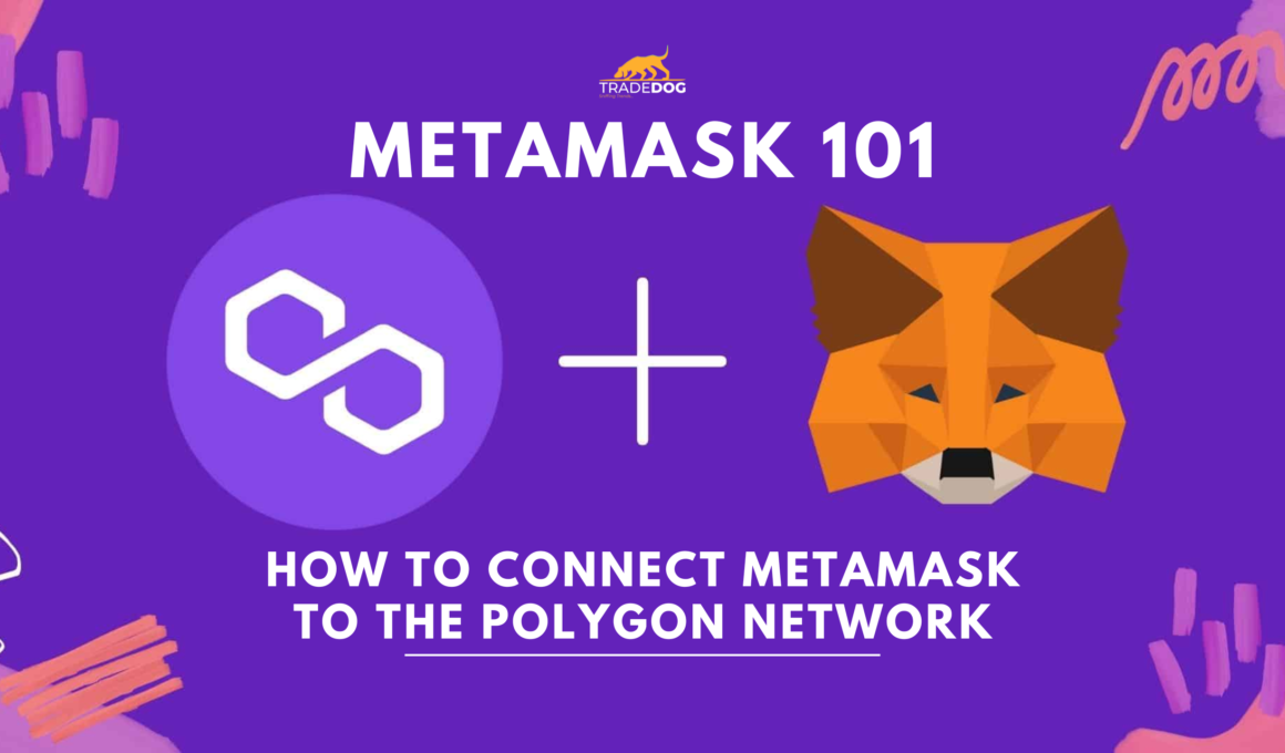 Metamask 101 - How To Connect Metamask To The Polygon Network - tradedog