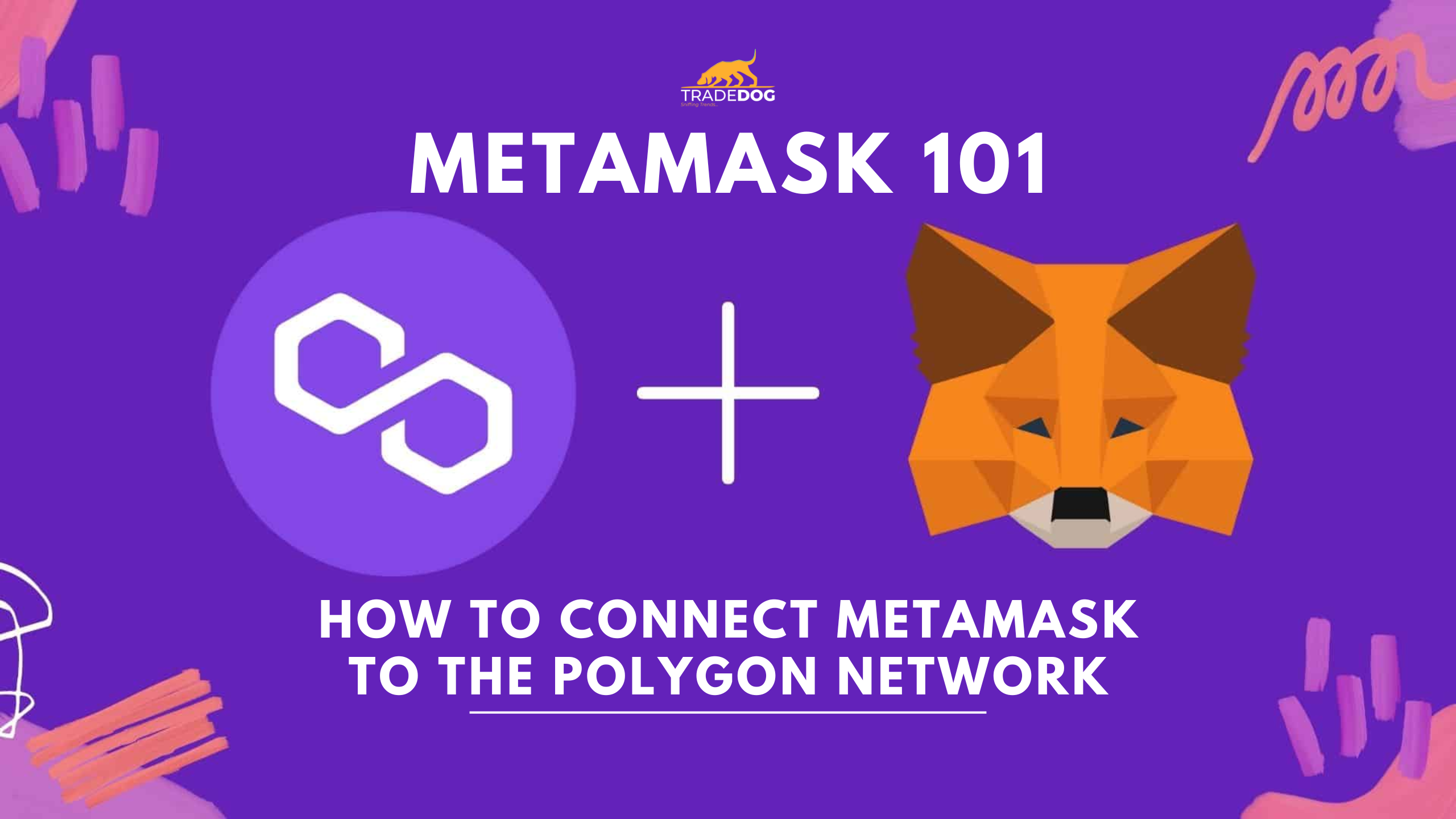 Metamask 101 - How To Connect Metamask To The Polygon Network - tradedog