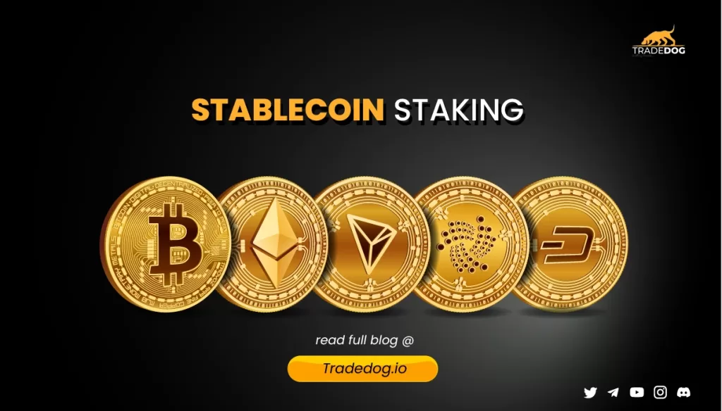 Liquidity Pools 101: A Beginner's Guide to Understanding Liquidity ...