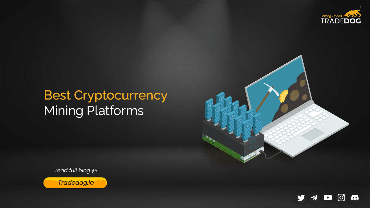 Best Cryptocurrency Mining Platforms
