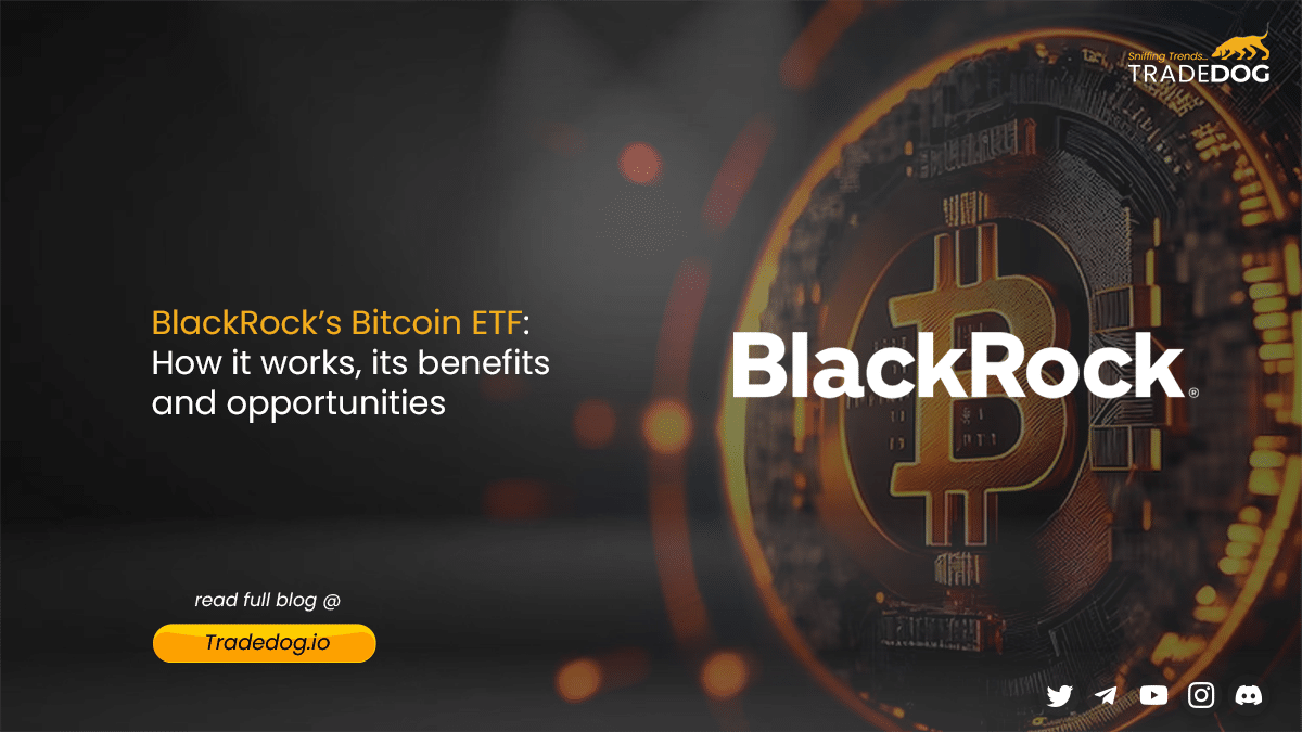 BlackRock’s Bitcoin ETF: How it works, its benefits and opportunities