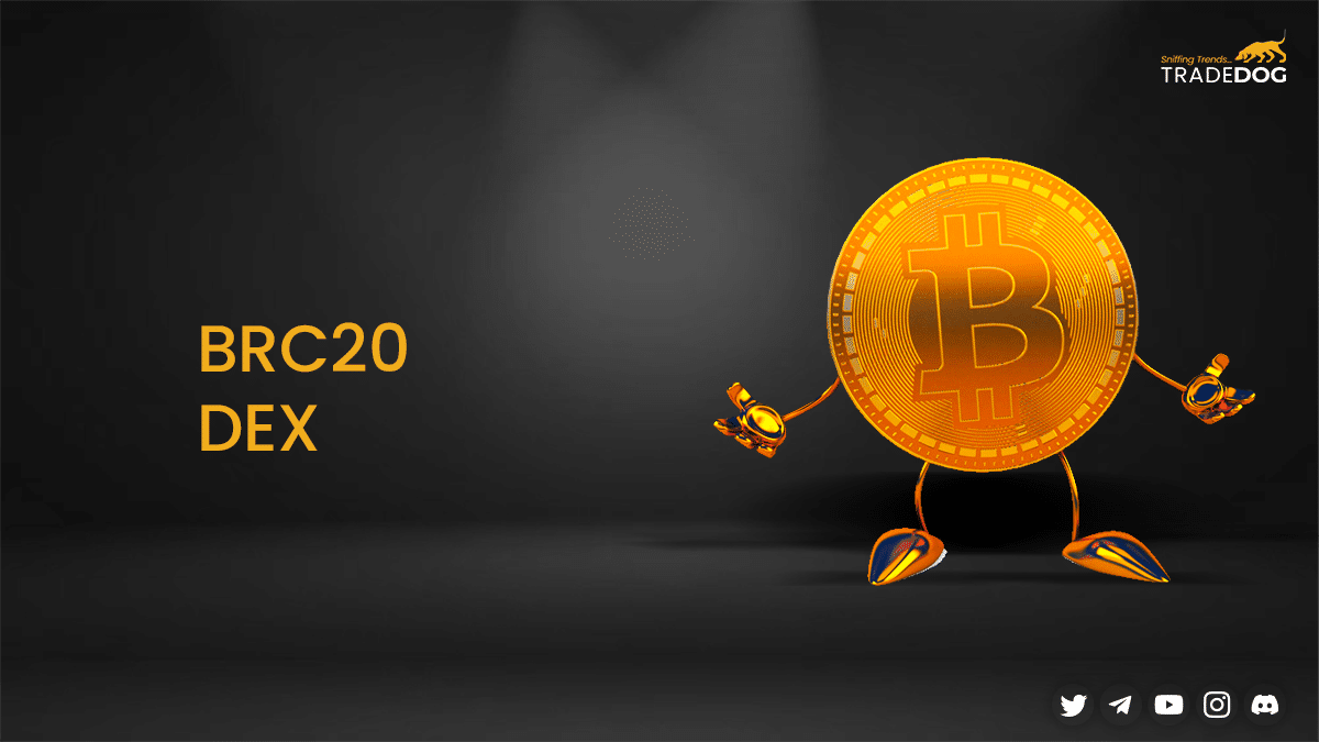 BRC20 DEX: Deciphering Decentralized Exchanges on the BRC20 Standard