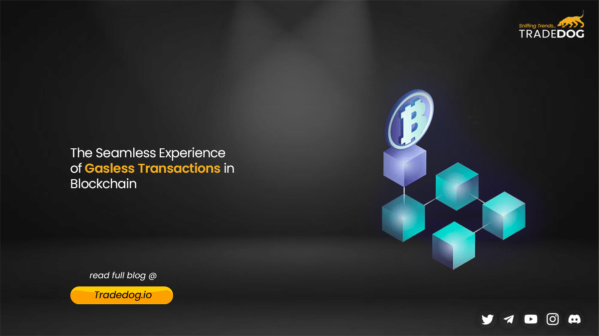 The Seamless Experience of Gasless Transactions in Blockchain