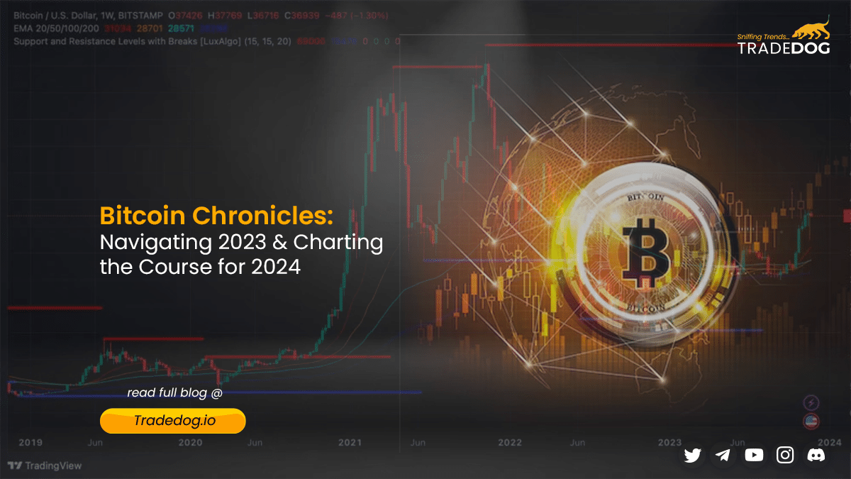 Bitcoin Chronicles: Navigating 2023 & Charting the Course for 2024 - TradeDog