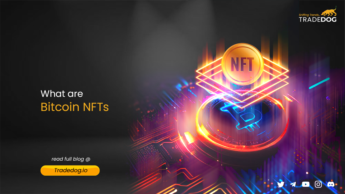 What are Bitcoin NFTs - TradeDog