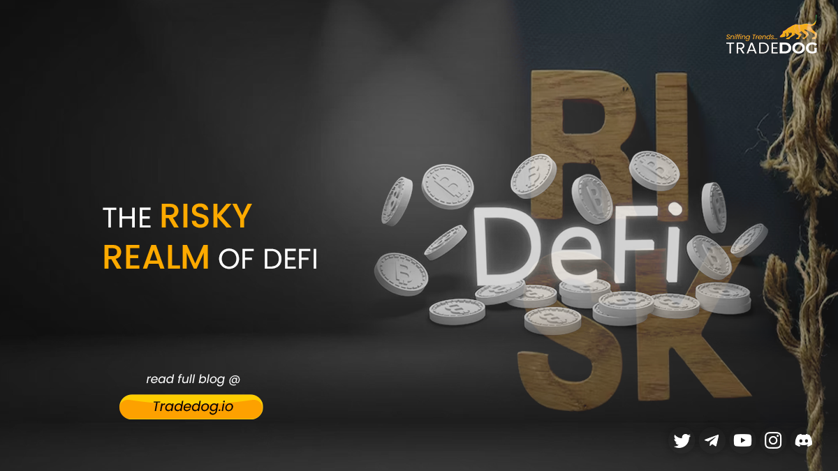 The Risky Realm of DeFi: What Challenges Lie Ahead?