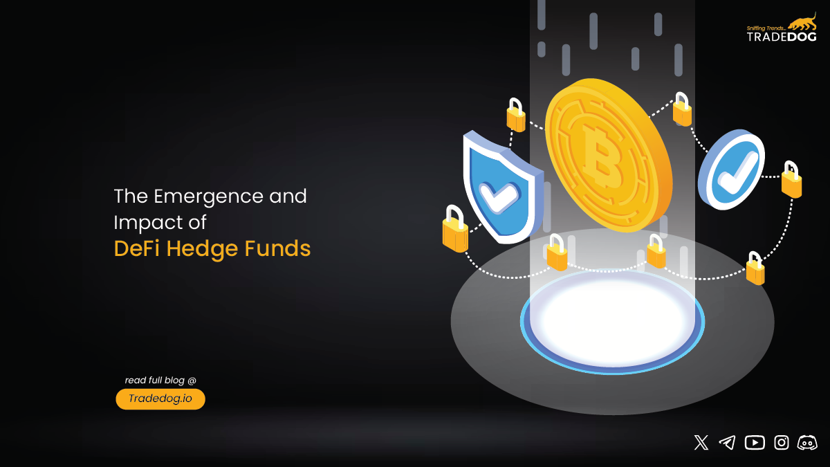 Investing Redefined: The Emergence and Impact of DeFi Hedge Funds - TradeDog