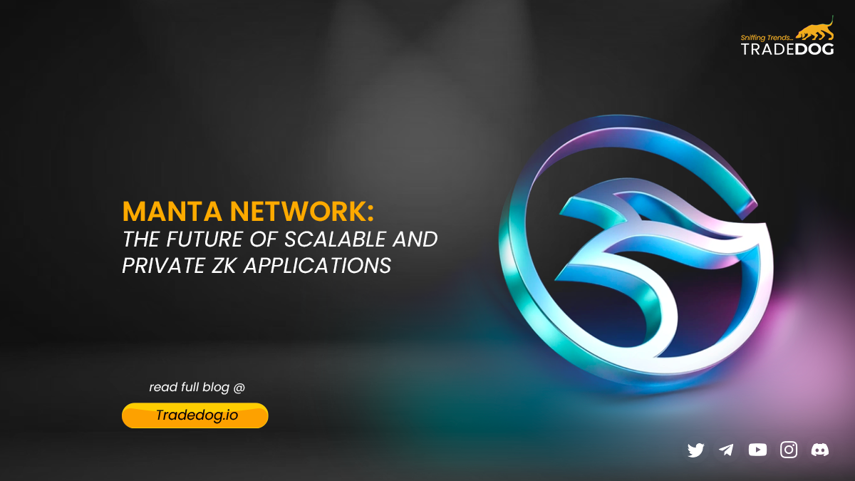 Why Everyone in Crypto Is Talking About Manta Network: Uncover the Truth!