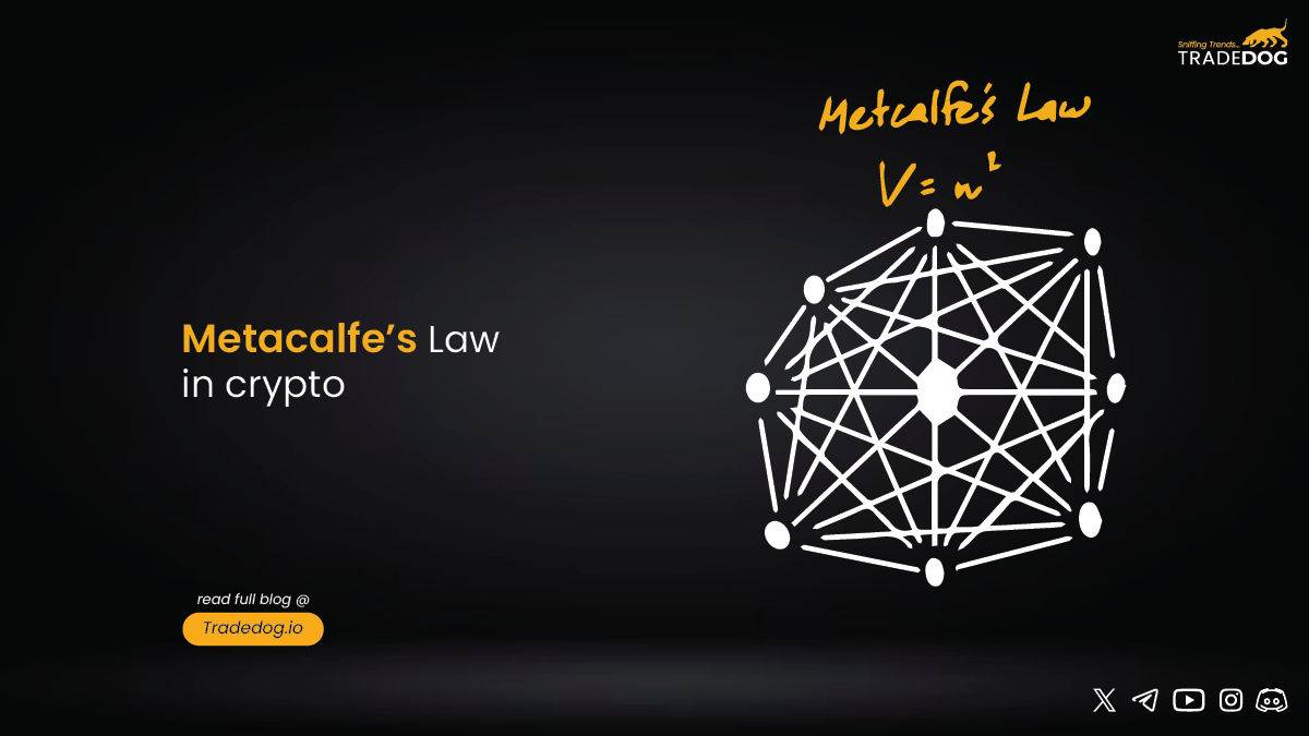 Metcalfe's Law: The Driving Force Behind Cryptocurrency Networks