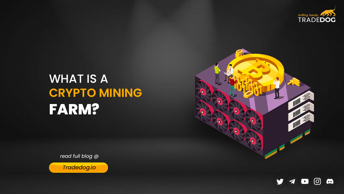 What is a Crypto Mining Farm and How it Works?