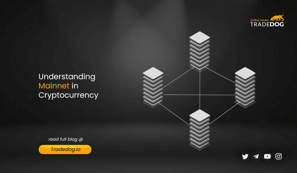 What is Mainnet - Tradedog