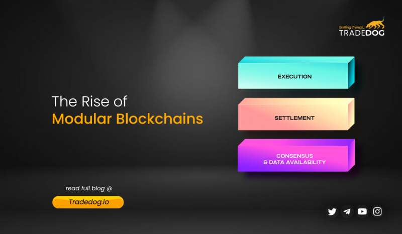 The Rise of Modular Blockchains for Enhanced Scalability and Flexibility