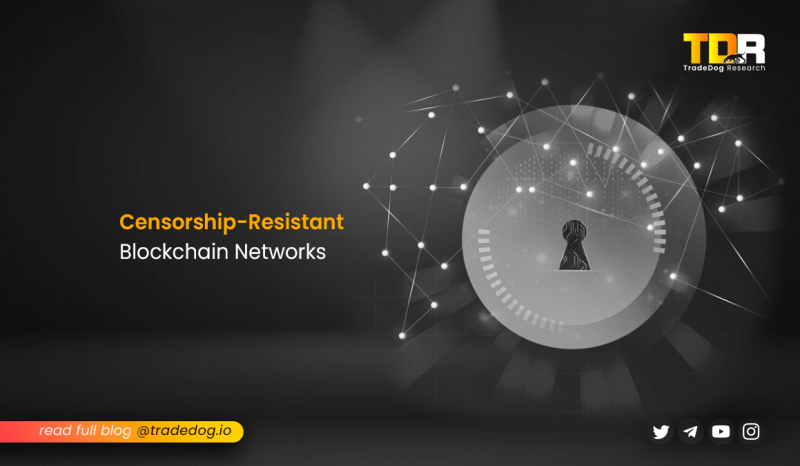 What Are Censorship-Resistant Blockchain Networks? - TradeDog