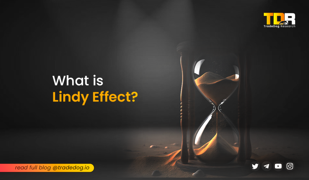 Lindy Effect in Blockchain