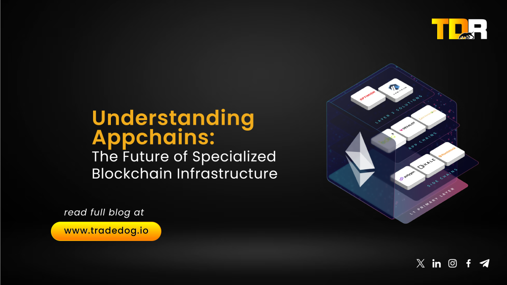 Understanding Appchains: The Future of Specialized Blockchain ...