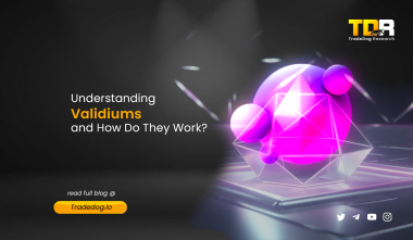 Understanding Validiums and How Do They Work? - TradeDog