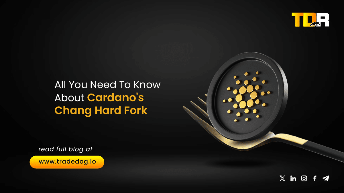 All You Need To Know About Cardano's Chang Hard Fork - TradeDog