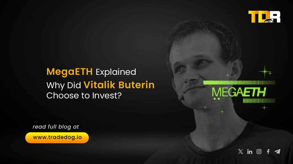 MegaETH Explained: Why Did Vitalik Buterin Choose to Invest? - TradeDog