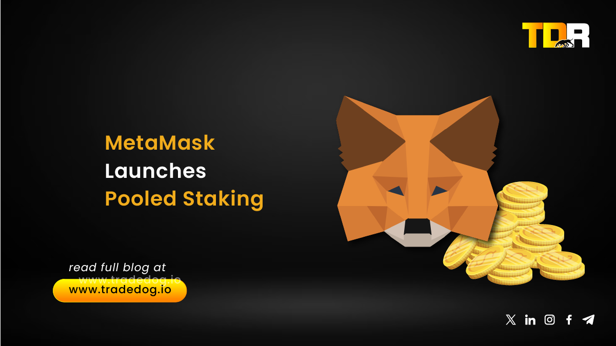 MetaMask Launches Pooled Staking - TradeDog