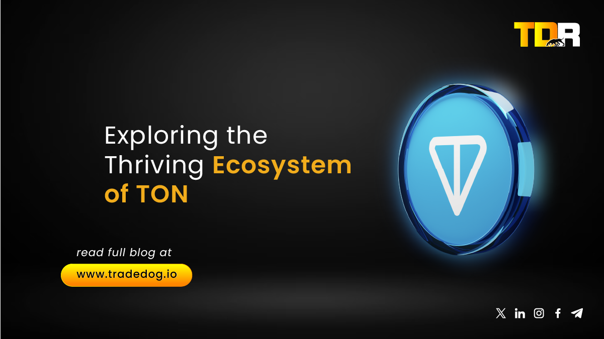 Exploring the Thriving Ecosystem of TON